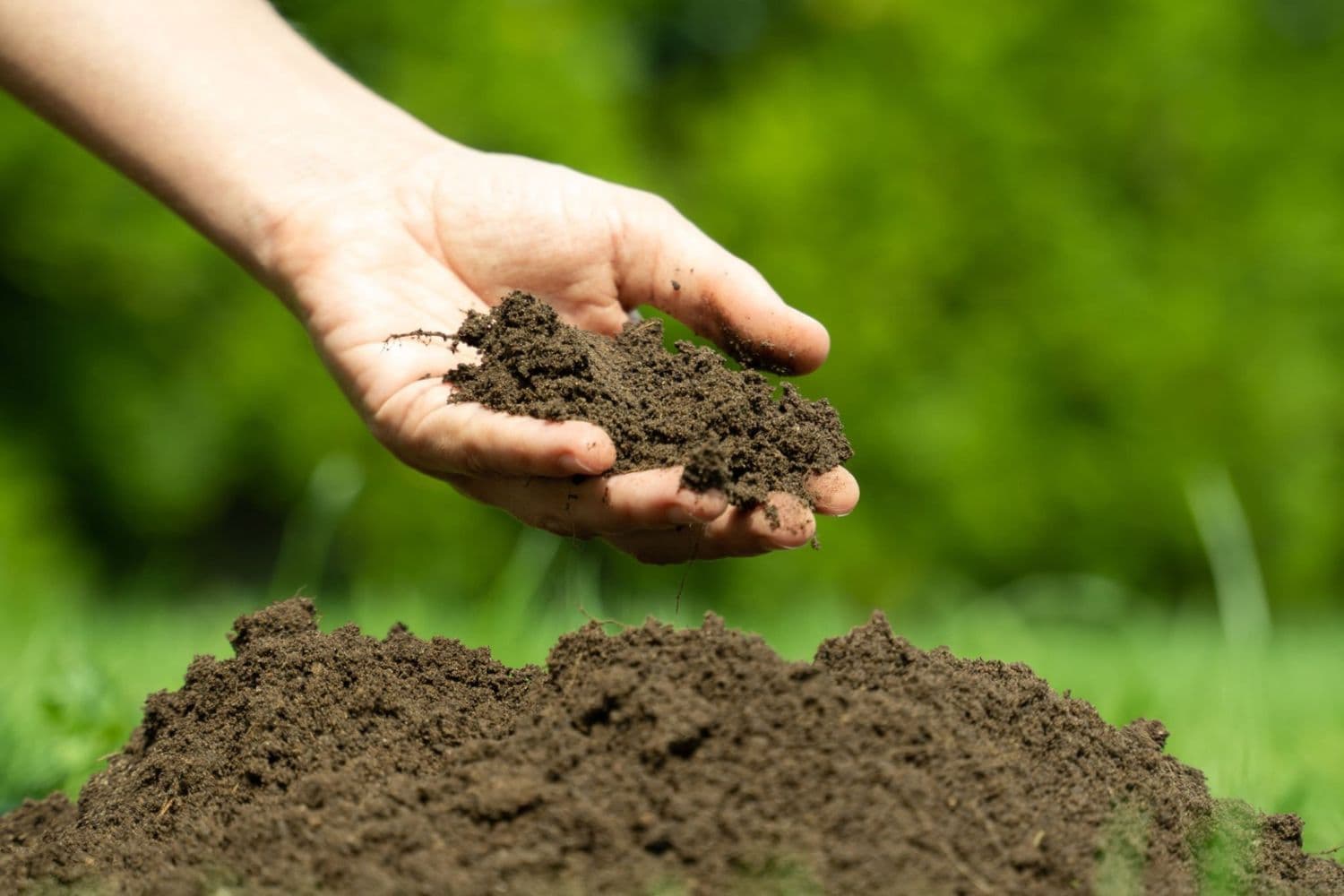 AI Soil Testing | Salam Kisan