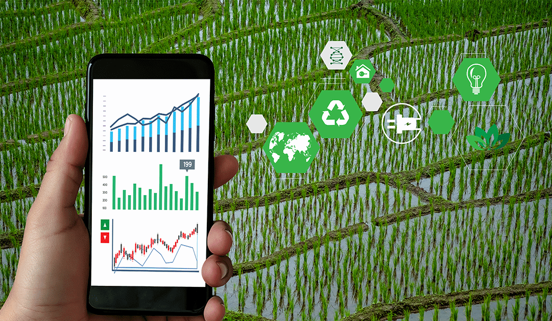 AI Crop Calendar | Salam Kisan