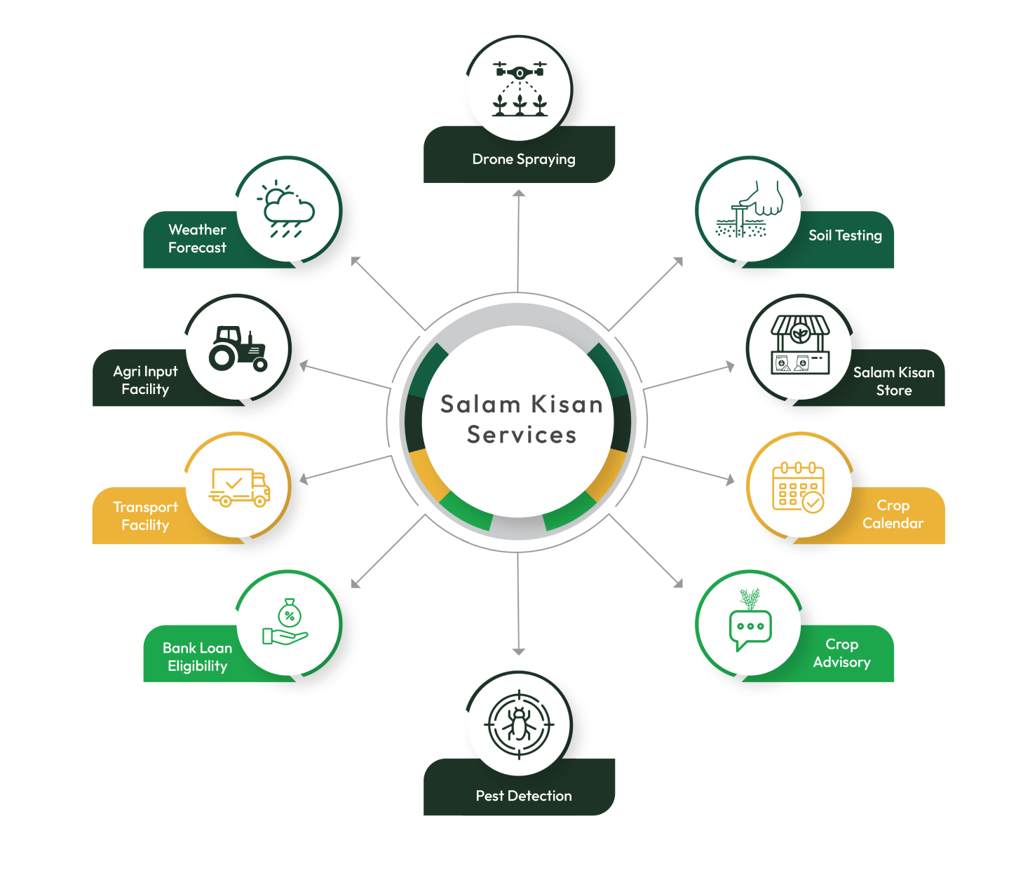 Salam Kisan: India’s Leading AI & Drone-Based Agritech Platform